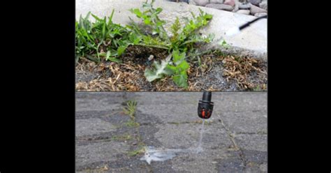 Мощен домашен убиец на плевели Пръскаш веднъж и вече тревичка не никне За Жената