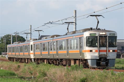 2nd train JR海武豊線で313系3000番台による代走運転が行われるの写真 TopicPhotoID 28826