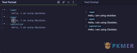 Obsidian 插件：text Format