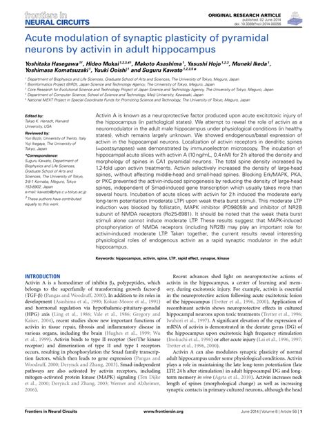 Pdf Acute Modulation Of Synaptic Plasticity Of Pyramidal Neurons By Activin In Adult Hippocampus