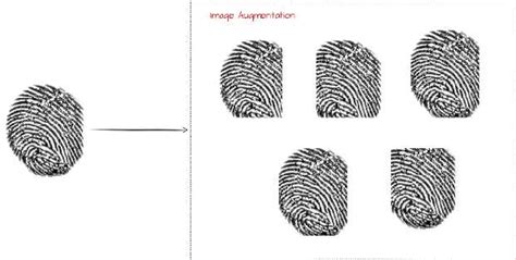 Figure 1 From Fingerprint Liveness Detection Using Denoised Bayes Shrink Wavelet And Aggregated