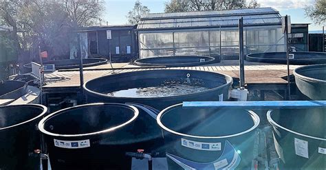 ΜΙΑ ΜΟΝΑΔΙΚΗ ΣΥΝΑΝΤΗΣΗ ΜΕ ΤΙΣ ΧΕΛΩΝΕΣ ΚΑΡΕΤΑ ΚΑΡΕΤΑ Εκπαιδευτήρια ΠΑΛΛΑΔΙΟ Νέα Ανακοινώσεις