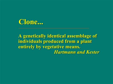 514 Plant Propagation For Tissue Cultureppt