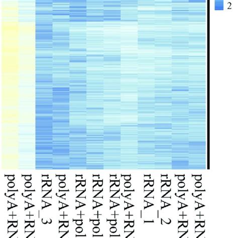 On Diverse Circrna Enrichment Methods The Candidates Circrna Of Download Scientific Diagram