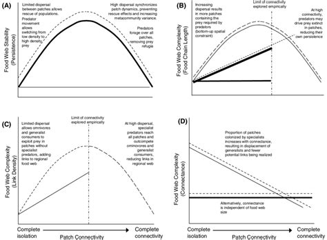 Conceptual Diagrams Of General Theoretical Dashed Lines And Empirical