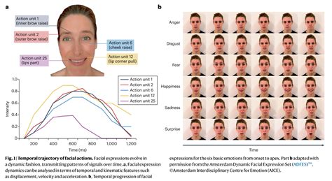 面部动作在情绪识别中的作用nature Reviews Psychology2023人脸情绪识别作用 Csdn博客