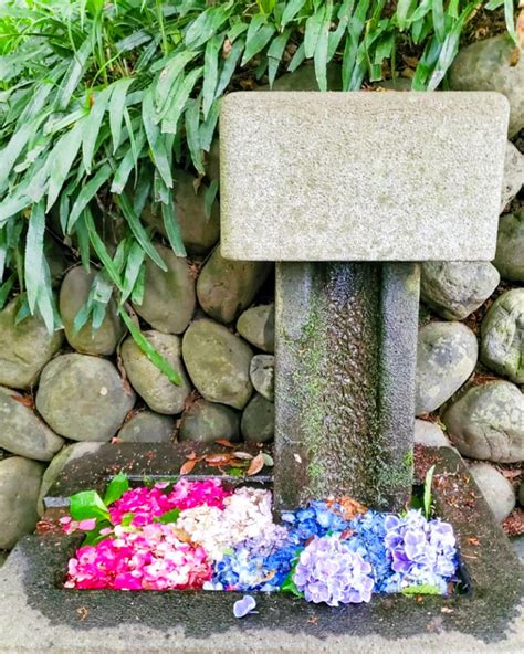 風鈴祭り 法多山の魅力と見どころを徹底解説 東海カメラマップ