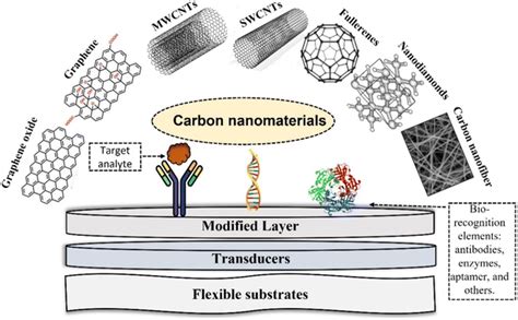 Carbon Based Electrochemical Biosensors As Diagnostic Platforms For