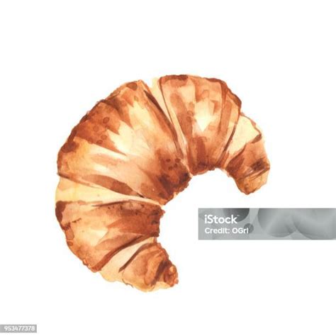 전통적인 프랑스 크로 흰색 배경에 고립입니다 수채화 그림 0명에 대한 스톡 벡터 아트 및 기타 이미지 0명 갈색 러시아