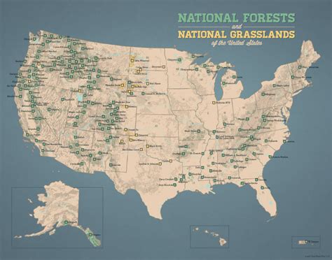 Us National Forests Map 11x14 Print Best Maps Ever
