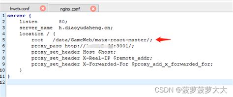 Reactnginx 二级域名指向配置前端react怎么弄 多语言二级域名 Csdn博客
