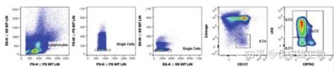 人先天淋巴细胞免疫分型 知乎