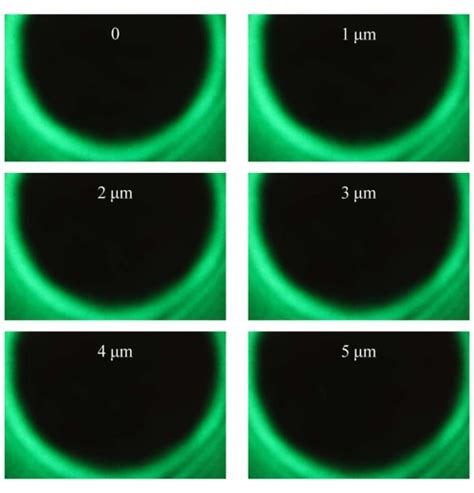 A Micro Displacement Measurement Based On The Shadow Technique