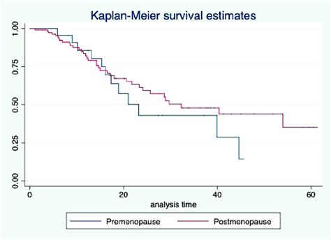 Kaplan Meier Graph Showing The Os Of The Patients Based On Their Download Scientific Diagram