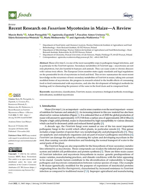 Recent Research On Fusarium Mycotoxins In Maize A Pdf Mycotoxin Fungus