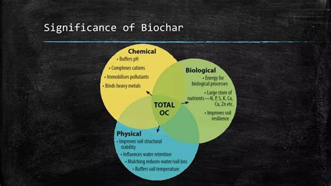 Biochar Preparation And Application Water Pollution And Control Course