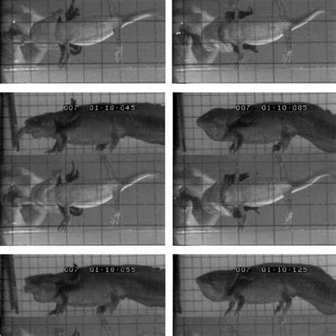 Mean Kinematic Profiles With Standard Error Bars Of Five Variables