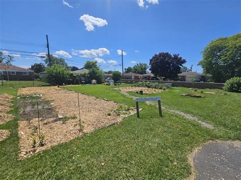 Oriana Dipzinski Mifarmlink