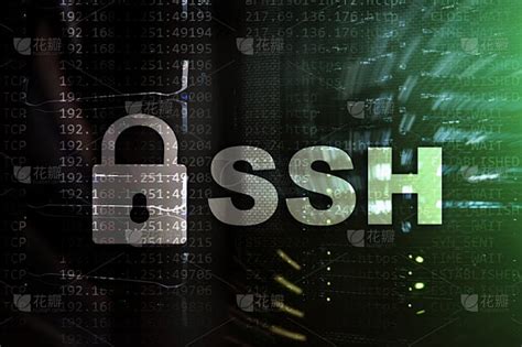 Ssh Secure Shell协议及软件。数据保护、互联网和电信概念。图片其他图片图片素材 花瓣网