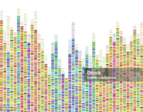 Dna 테스트 인포그래픽 Dna 검사 바코드 게놈 맵 Autosomal 열성 질병에 대한 스톡 벡터 아트 및 기타 이미지 Autosomal 열성 질병 Dna Dna