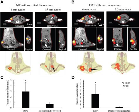 Active Targeting Fmt Reconstruction Respectively Based On Download Scientific Diagram
