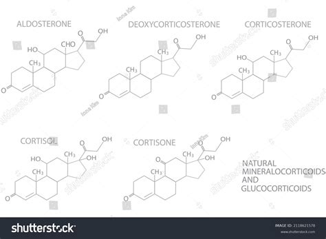 Glucocorticoids Structure
