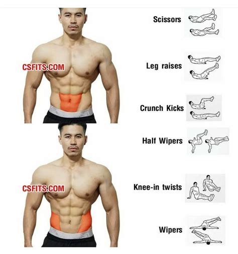 Sintético 90 Foto Ejercicios Para Abdomen Y Cintura En Una Semana Cena Hermosa