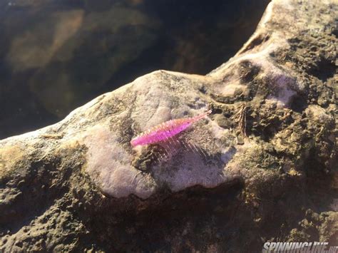 FishUp Tanta- окуневый соблазнитель | обзоры