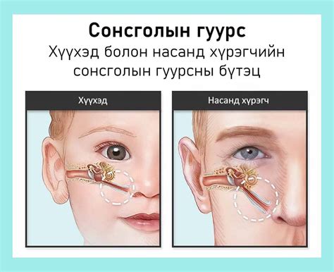 Чих хамар хоолойн эмнэлэг Ulaanbaatar