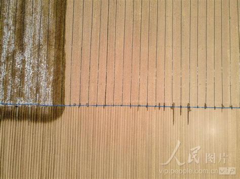 山东菏泽安装智能喷灌 为农作物解渴 人民图片网