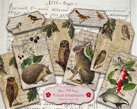 Forest Inhabitants Tags Forest Tags Woodland Tags Printable Tags Ephemera Tags Digital Gift