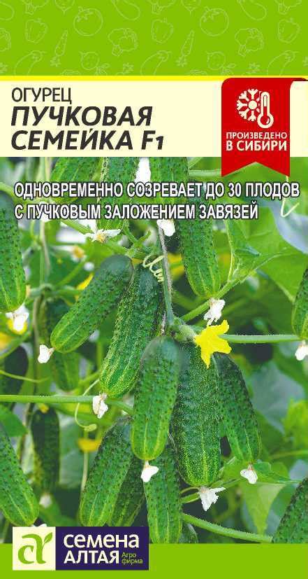 Огурец Пучковая семейка F1 (Семена Алтая) 6 сем.
