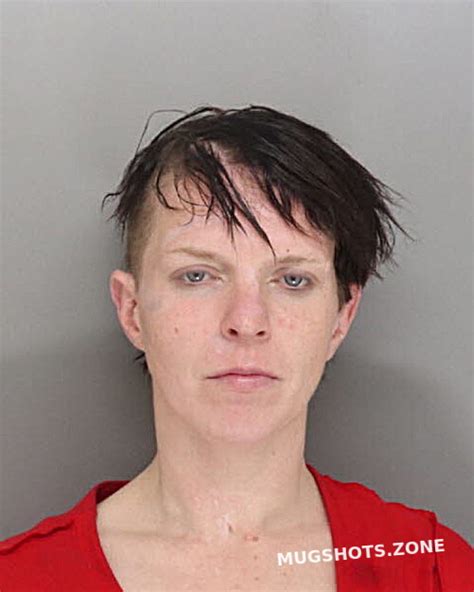 Ellis Danielle 01 29 2024 Hamilton County Mugshots Zone