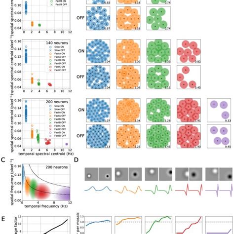 Emergence Of New Rf Types With Increasing Rgc Number A Distribution Download Scientific