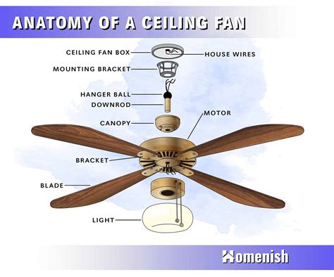 8 Parts Of A Ceiling Fan With Illustrated Diagram Homenish