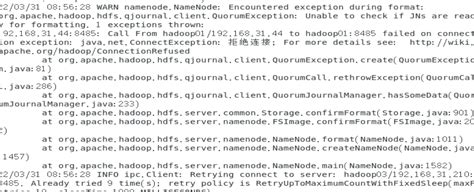 【hadoop Ha】220110 225017 Error Namenodenamenode Failed To Start Namenode Programmer Sought
