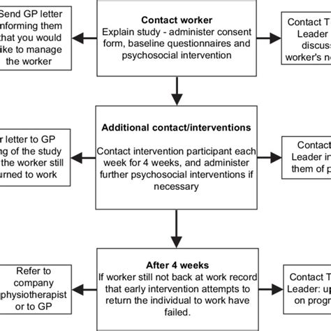 Experimental Intervention Protocol Download Scientific Diagram
