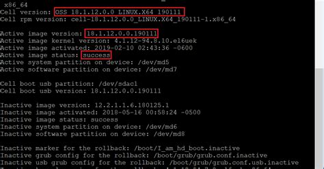 Netsoftmate Technical Blog Step By Step Exadata Storage Server Patching 18c