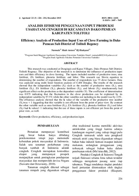 Pdf Analisis Efisiensi Input Produksi Cengkeh