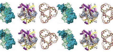 Introducing Amber For Molecular Dynamics Simulations On Rescale Rescale