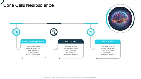 Cone Cells Neuroscience Ppt Powerpoint Cpp Ppt Presentation
