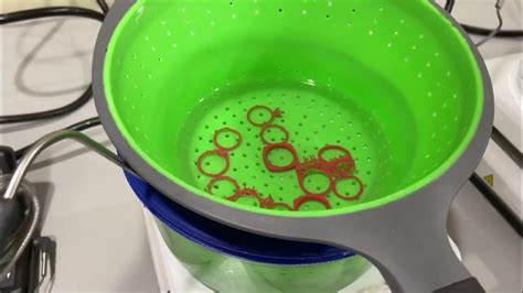 Flashforge Waxjet Model Dewaxing Process Youtube