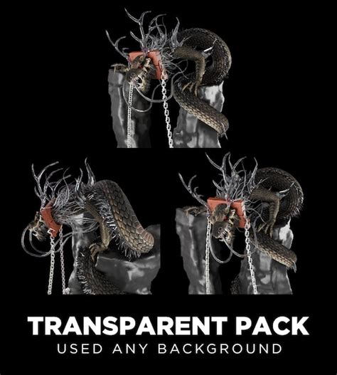 Cuttlefish Behavior Psd High Quality Free Psd Templates For Download