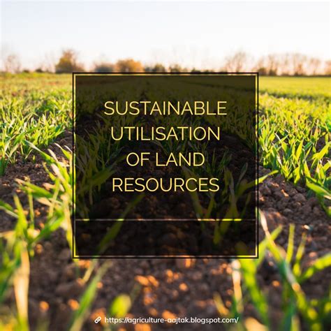 Sustainable Utilization Of Land Resources Agriculture India Farm
