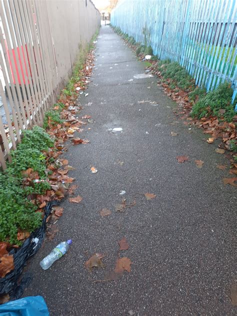 Album Example · Bootstrap V52