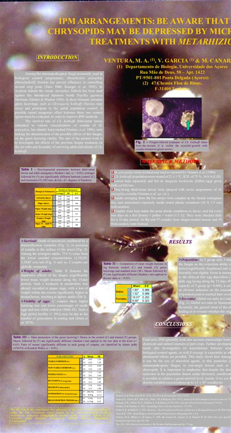 Fig Fig 3 3 Percentage Of Adult Survival Columns And Sex Ratio Download Scientific