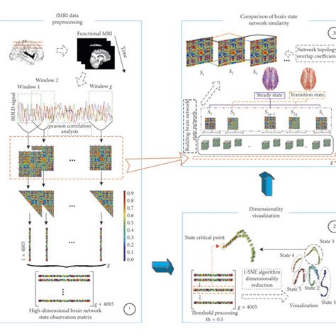 Workflow ① Preprocessing Of Fmri Data And Construction Of