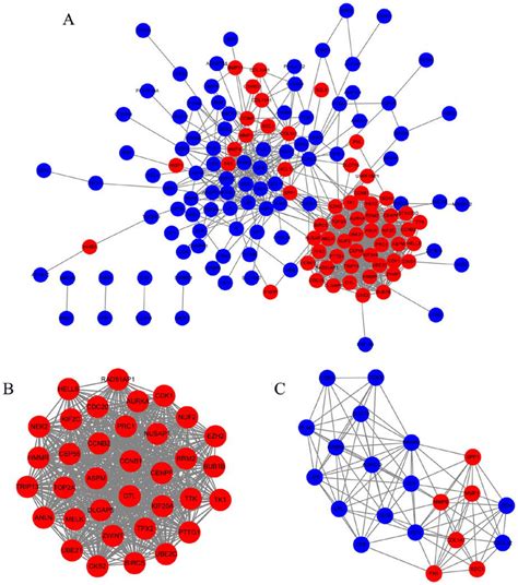 Ppi Network Analysis Of Degs A Ppi Network Containing 149 Nodes And Download Scientific