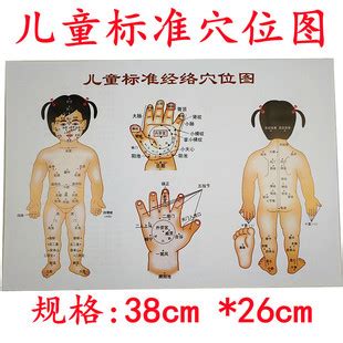 小儿推拿身体全身经络图穴位图儿童针灸艾灸穴位图解知识宣传挂图 阿里巴巴