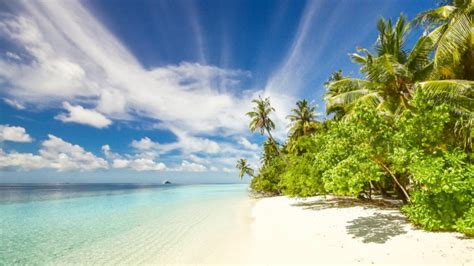 How To Have Public Sex Spots And Tips To Safe And Sexy Adventures Lovense Sex Blog